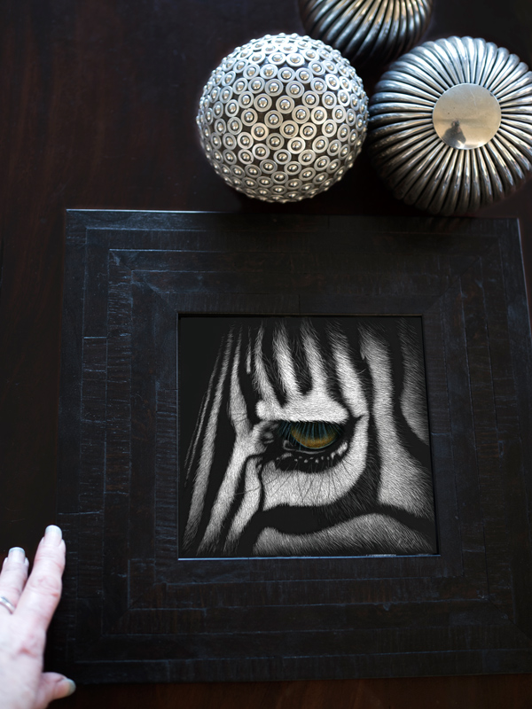 Zebra Scratchboard Artwork by New Zealand Wildlife Artist Karen Neal