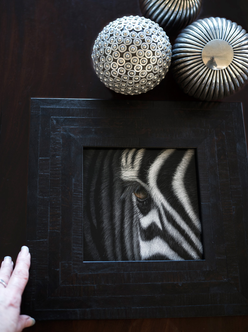 Zebra Scratchboard Artwork by New Zealand Wildlife Artist Karen Neal