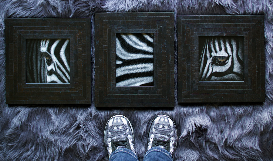 Zebra Scratchboard Artwork by New Zealand Wildlife Artist Karen Neal