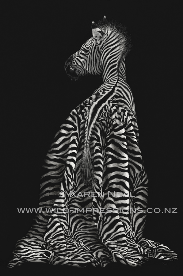 Zebra Scratchboard Artwork by Wildlife Artist Karen Neal
